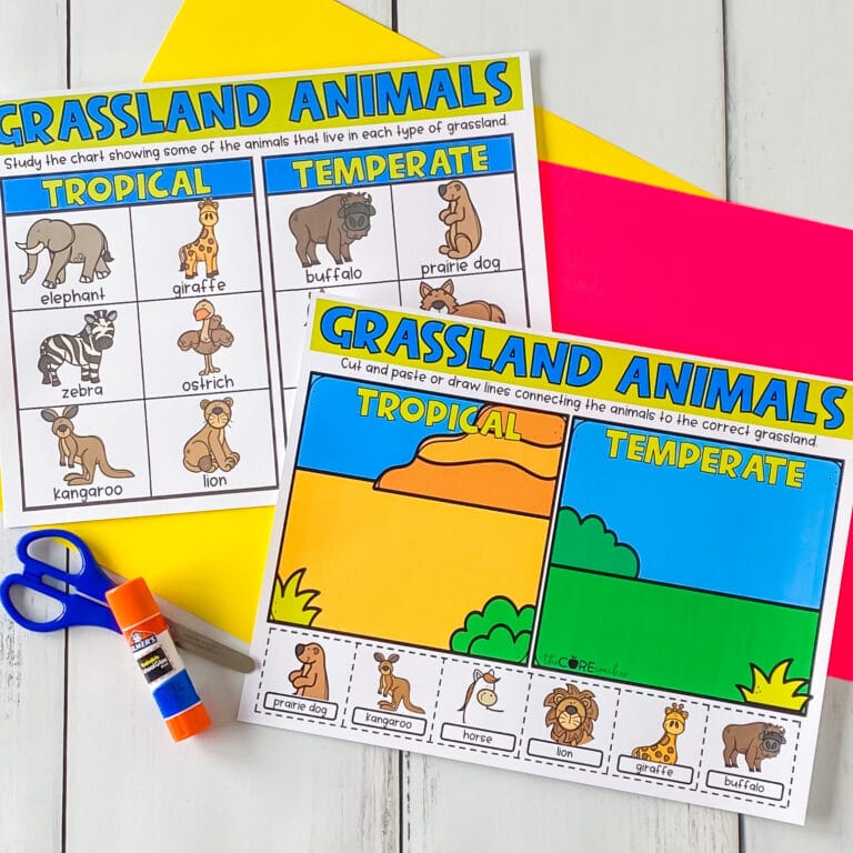 Habitat Lesson Plans for 1st Grade