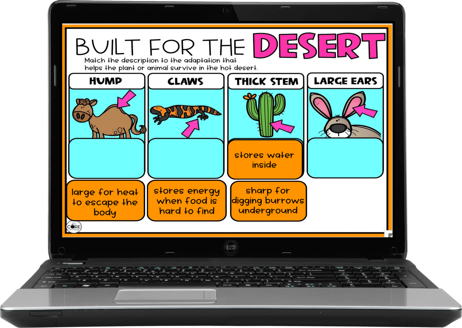 Habitat Lesson Plans for 1st Grade